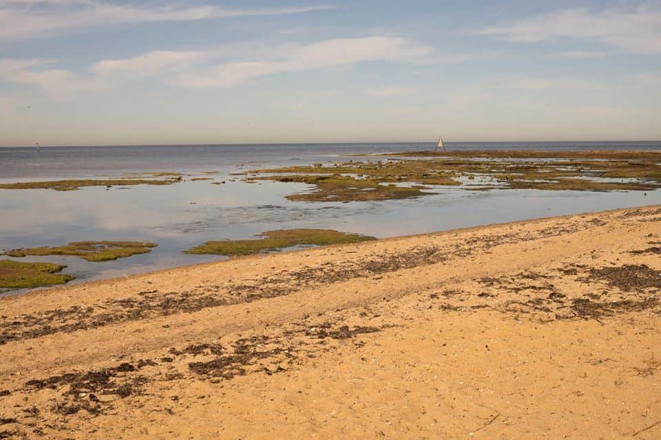 Exploring the Rockpools at Ricketts - 11:11 Kindergym